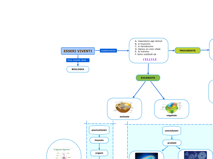 ESSERI VIVENTI - Mind Map